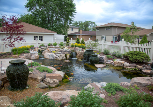 3 Tips for Keeping Koi Fish in Your Pond